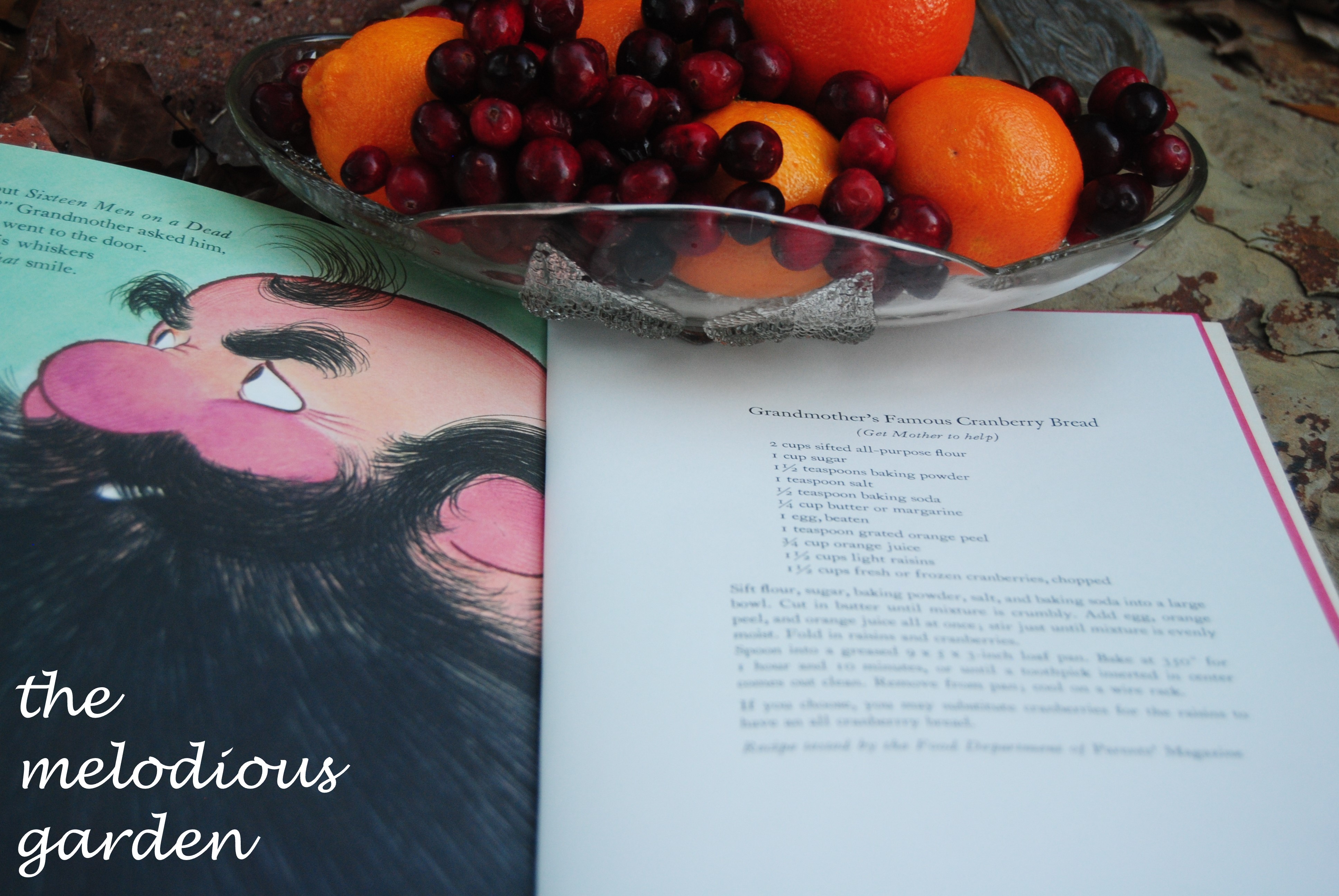 Cranberry Thanksgiving – the melodious garden