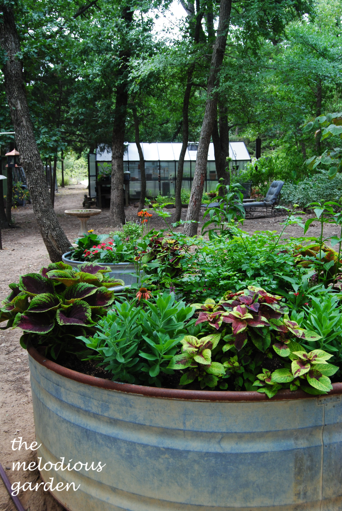Garden Travels: Lavender Ridge Farms – the melodious garden
