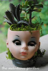 Potted doll heads… – the melodious garden