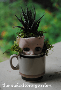 Potted doll heads… – the melodious garden