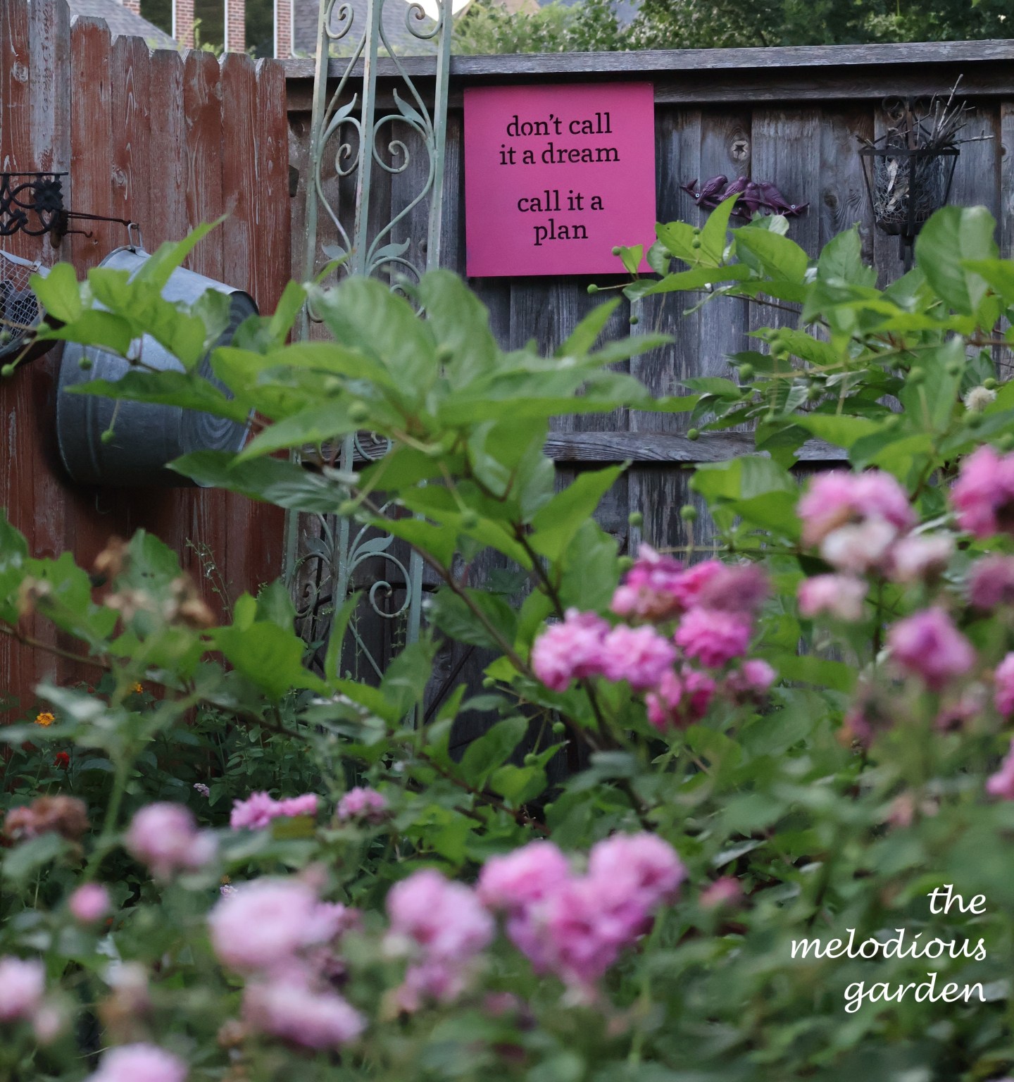 Why art thou dreaming! – the melodious garden