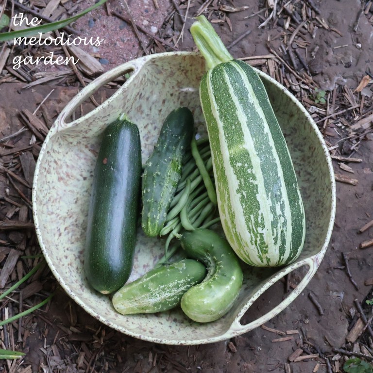 Why art thou dreaming! – the melodious garden